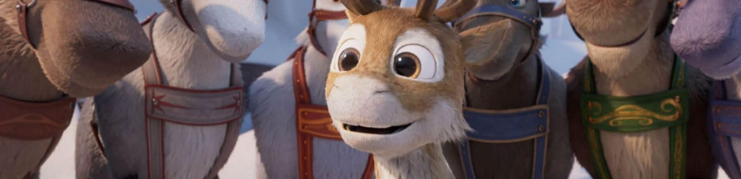 Niko_Banner Película-01 - MaxCinema